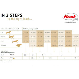 Buy Flexi Giant Neon 8m Tape Retractable Dog Leash Online at Low Price ...