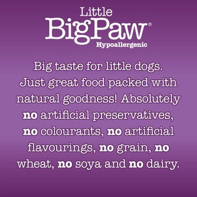 Little Big Paw Steamed Atlantic Salmon & Vegetable Terrine Wet Dog Food ...