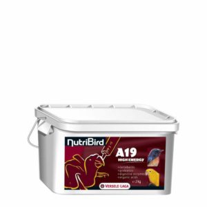 Buy Versele-Laga NutriBird A19 High Energy Hand-rearing Food for Baby ...