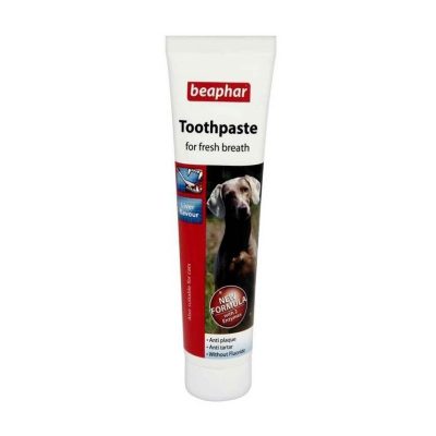 Buy Beaphar Toothpaste with Meat Flavor for Dogs, 100gm Online at Low ...